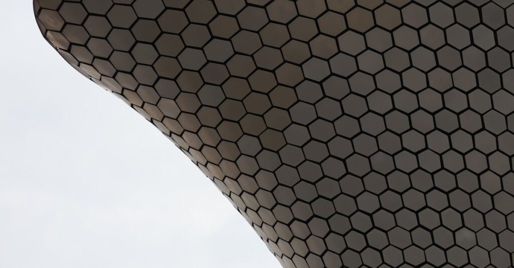 ¡Evita errores y obtén resultados precisos! Descubre la estructura ...